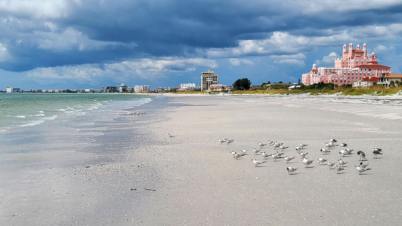 Ultimate Beach Guide to St Pete Florida Area Beaches - Florida Smart