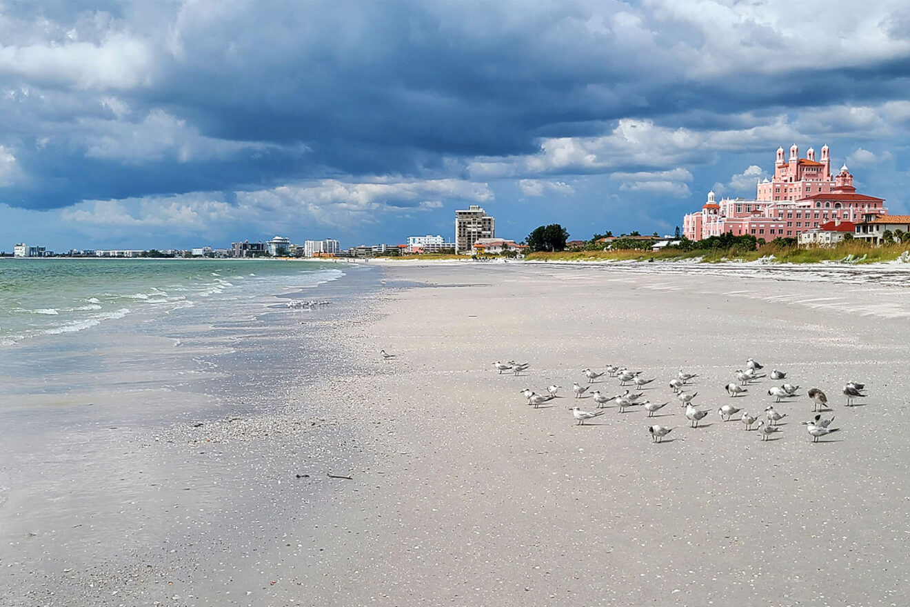Ultimate Beach Guide to St Pete Florida Area Beaches - Florida Smart