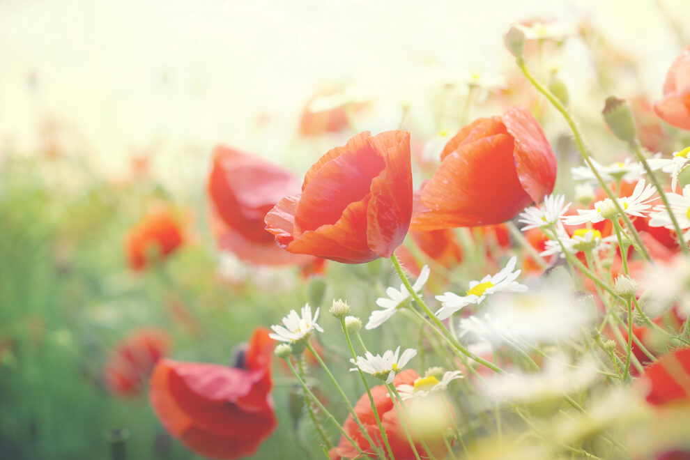 September Events and Festivals in Florida - Florida Smart