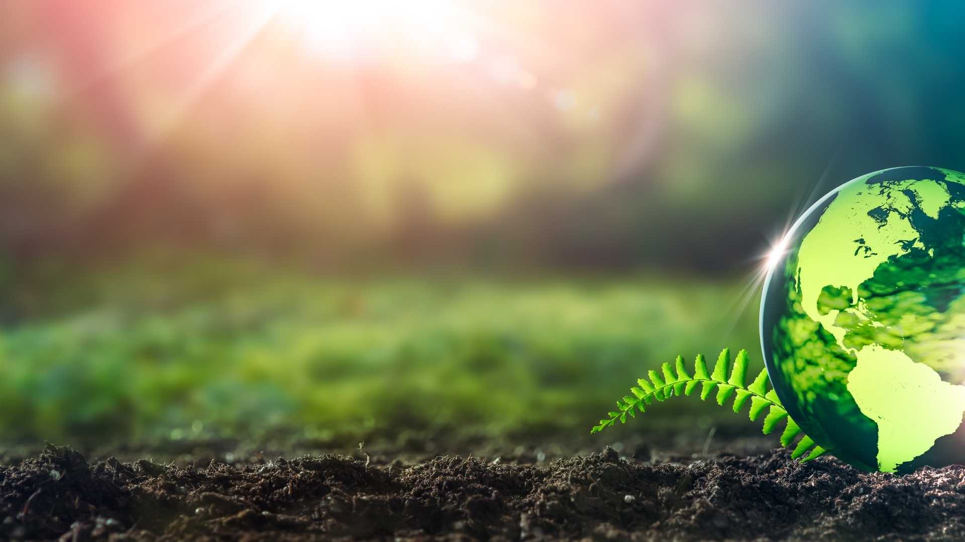 Florida's Environment - Florida Smart
