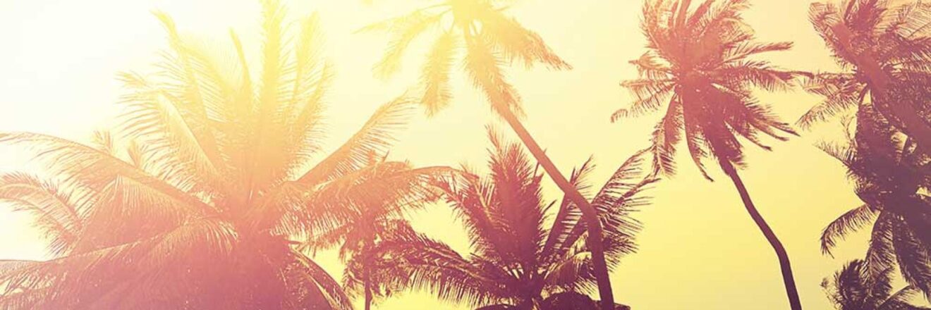 Florida’s Climate: Sunshine, Storms, Heat, Humidity & Ocean Breezes ...