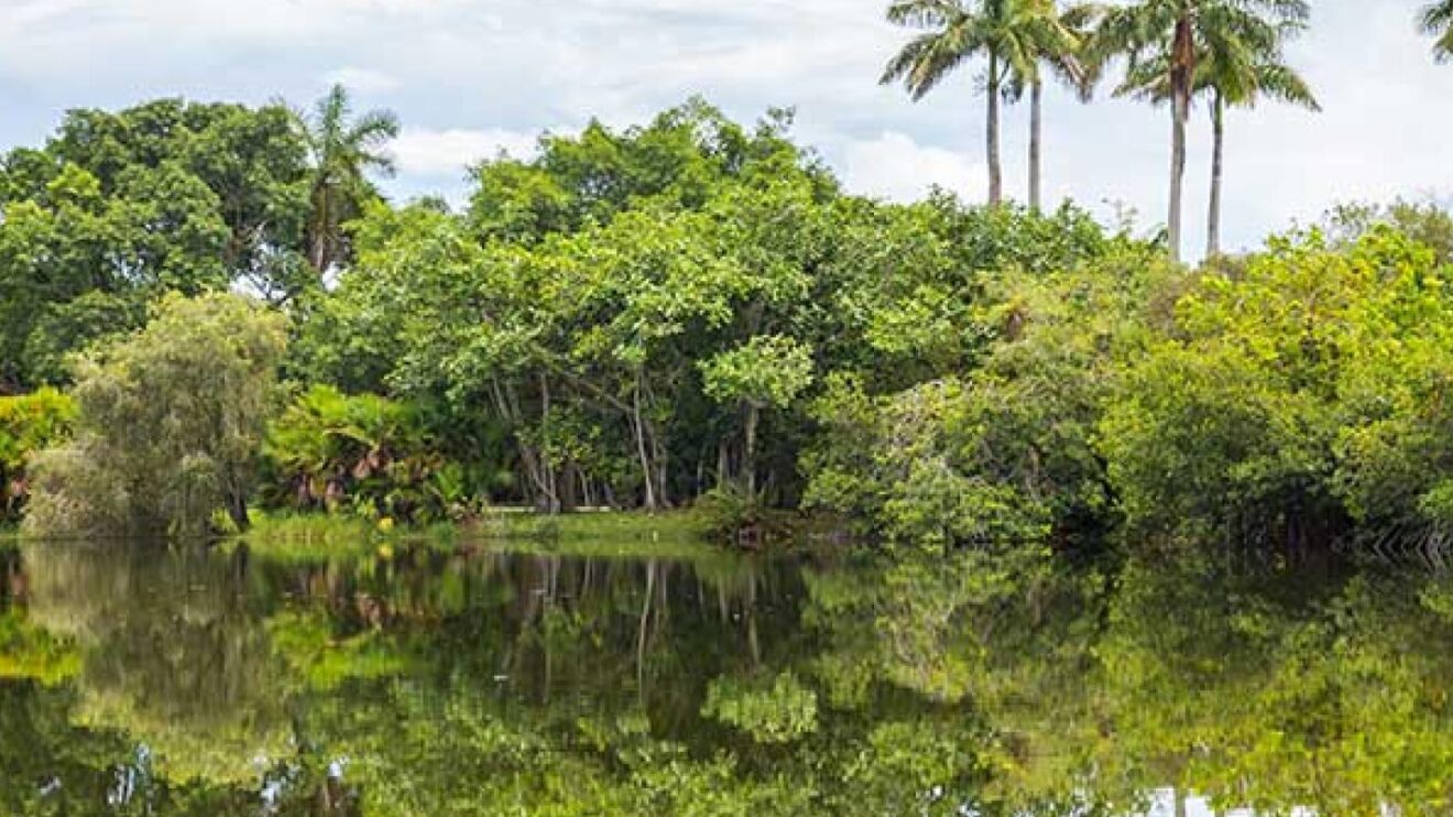 Florida Lakes - Florida Smart