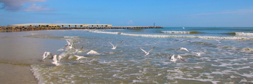 Florida's Space Coast - Florida Smart