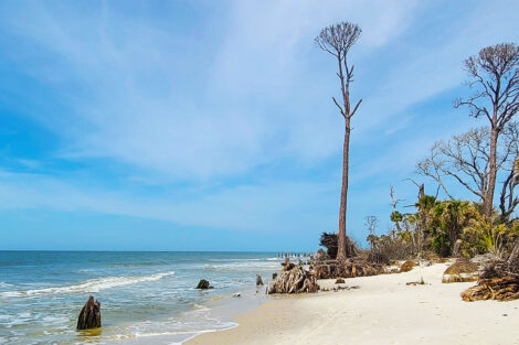Ultimate Beach Guide to Florida's Forgotten Coast Beaches - Florida Smart