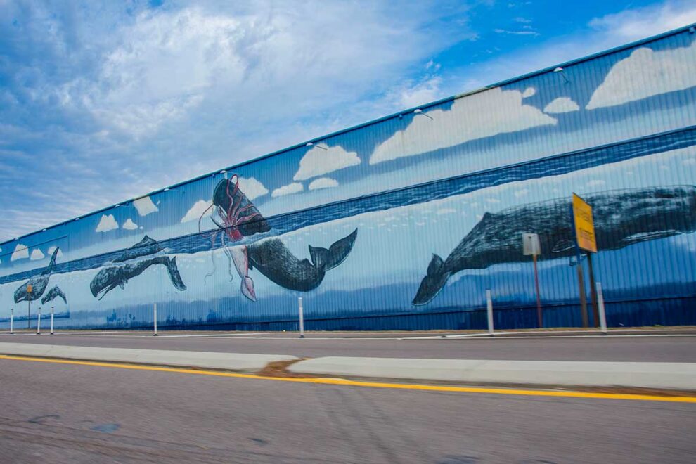 Destin Florida Ultimate City Guide - Florida Smart