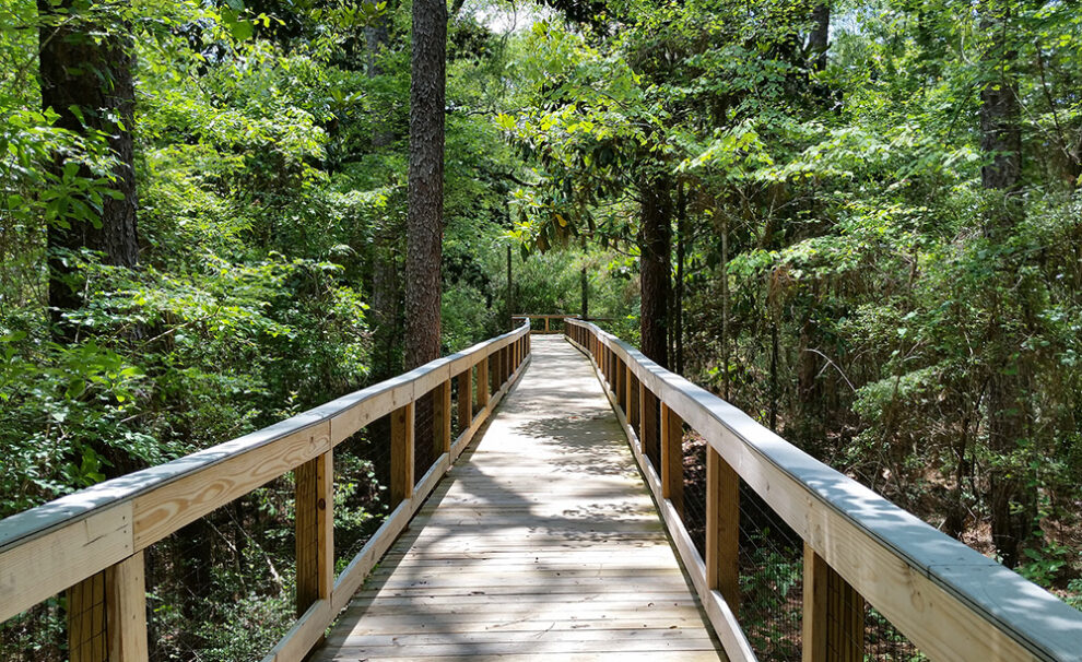 A Quest at Falling Waters State Park - Florida Smart