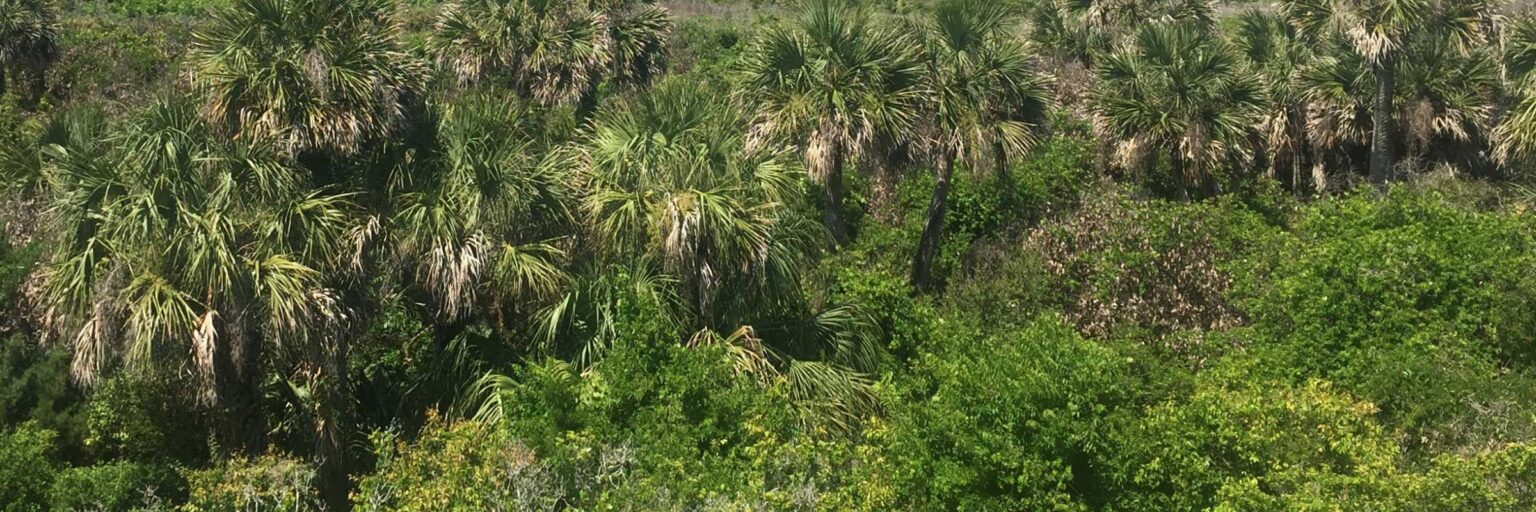 Pinelands, Flats & Prairies - Florida Smart