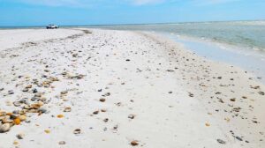 Ultimate Beach Guide to Florida's Forgotten Coast Beaches - Florida Smart