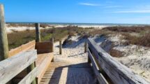 Ultimate Beach Guide to Florida's Forgotten Coast Beaches - Florida Smart
