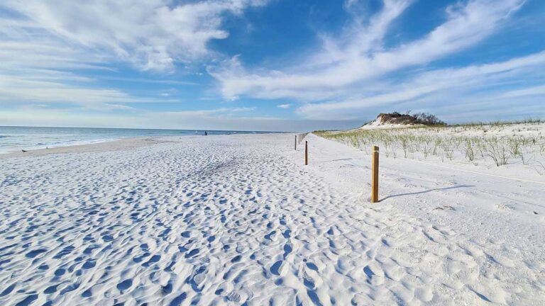Ultimate Beach Guide to Florida's Forgotten Coast Beaches - Florida Smart