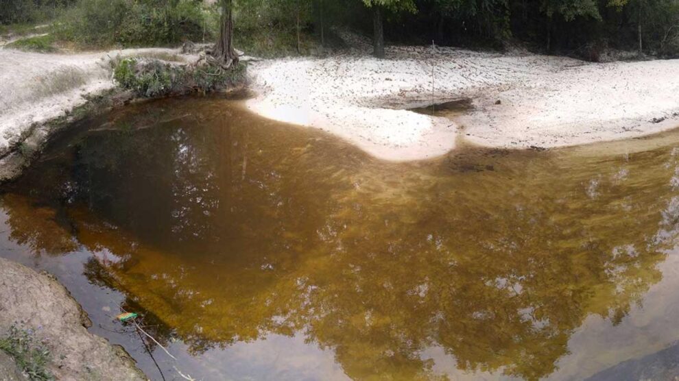 Natural Bridge in Florida - Florida's Arch - Florida Smart