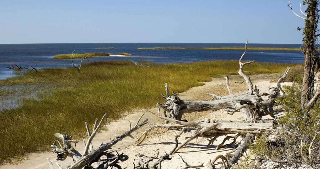 Ultimate Beach Guide to Florida's Nature Coast - Florida Smart