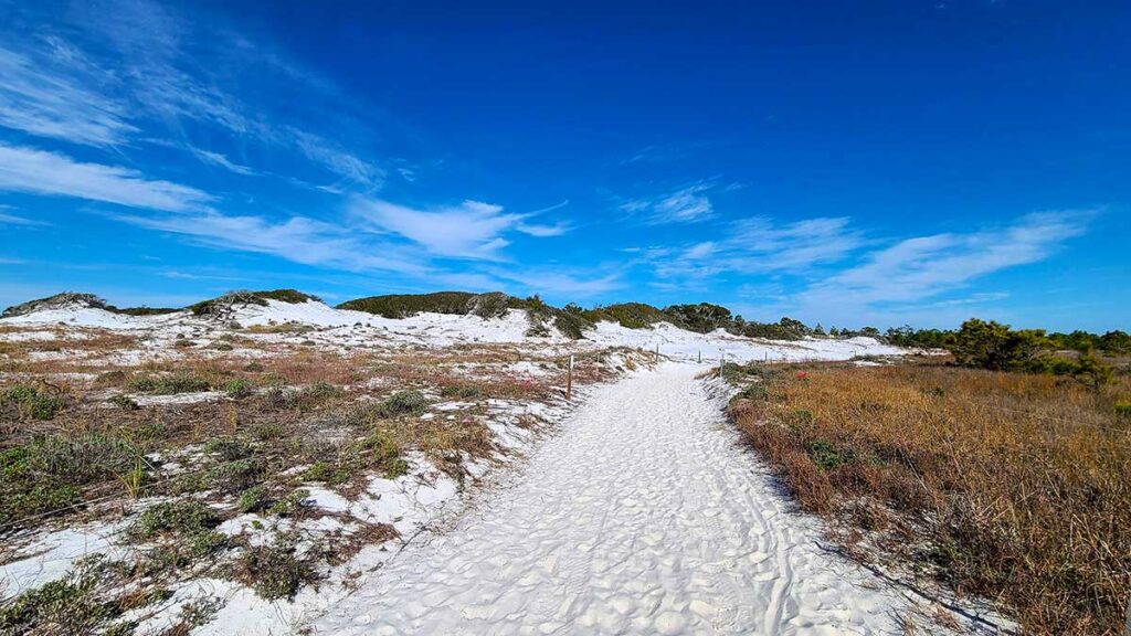 Camp Helen State Park - Florida Smart