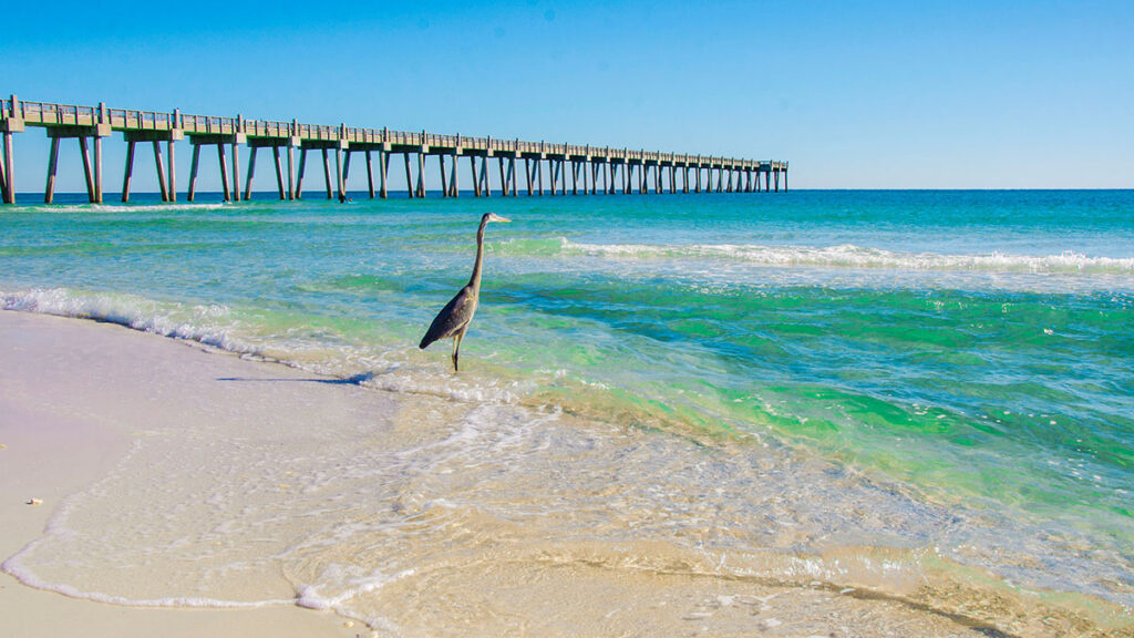 Ultimate Beach Guide to Pensacola Florida Beaches - Florida Smart