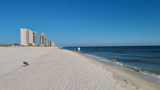 Ultimate Beach Guide to Perdido Key Florida Beaches - Florida Smart