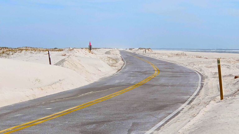 Ultimate Beach Guide to Perdido Key Florida Beaches - Florida Smart
