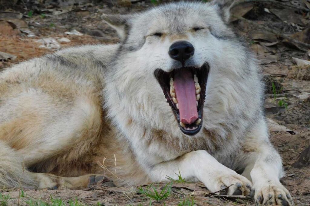 Northwest Florida Region - Florida Smart