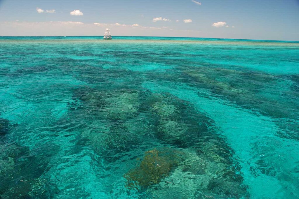 John Pennekamp Coral Reef State Park - Florida Smart