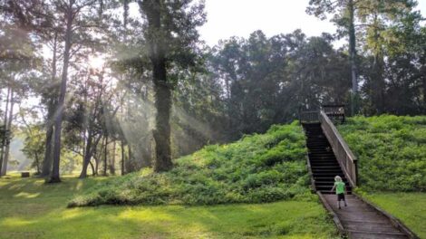 Lake Jackson Mounds Archaeological State Park - Florida Smart