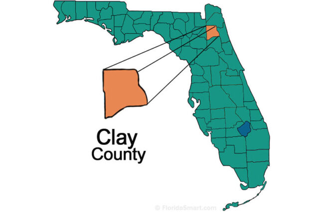 Clay - Florida Smart