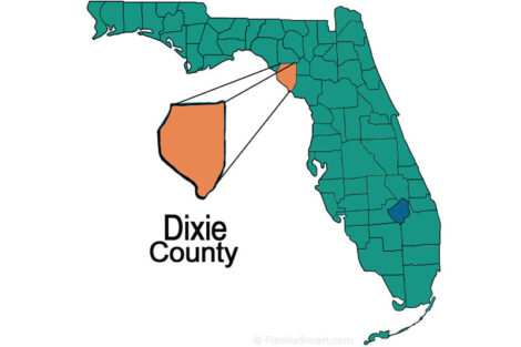 Dixie - Florida Smart