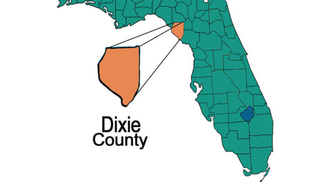 Dixie - Florida Smart