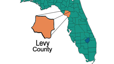 Levy - Florida Smart