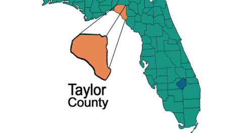 Taylor - Florida Smart